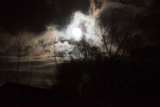 Spooky Night Fabric Visual Arts Dyeing & Batik etna.com.pe