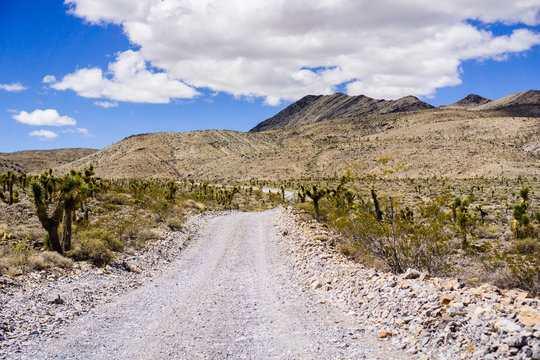 รูปภาพUnpaved – เลือกดูภาพถ่ายสต็อก เวกเตอร์ และวิดีโอ11,842 | Adobe Stock