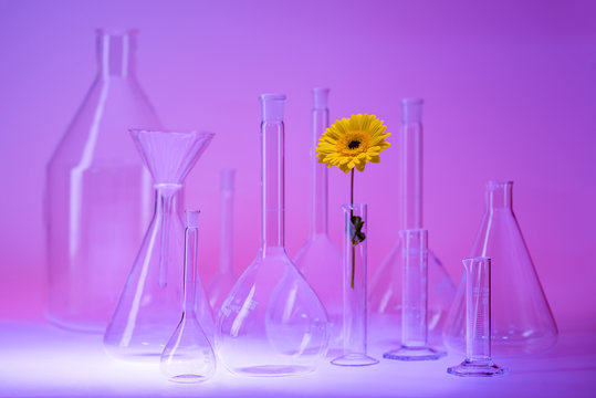 รูปภาพMesskolben – เลือกดูภาพถ่ายสต็อก เวกเตอร์ และวิดีโอ64 | Adobe Stock