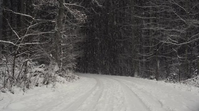 Schneeregen bilder – Bläddra bland 648 stockfoton, vektorer och videor ...