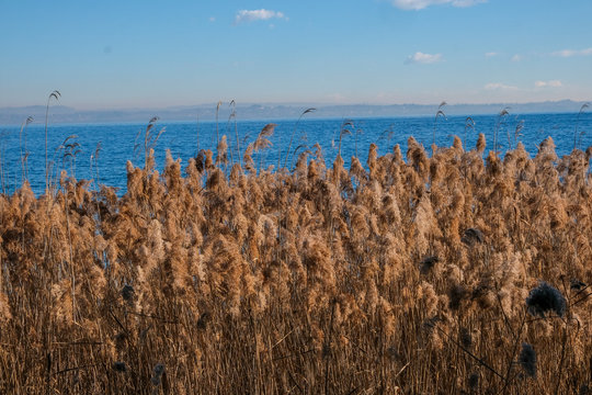 2,637 MIGLIORI Canneto IMMAGINI, FOTO STOCK E VETTORIALI | Adobe Stock