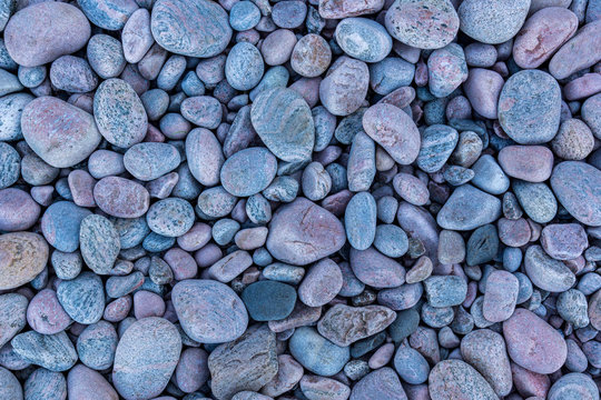 รูปภาพCaillasse – เลือกดูภาพถ่ายสต็อก เวกเตอร์ และวิดีโอ1,651 | Adobe Stock