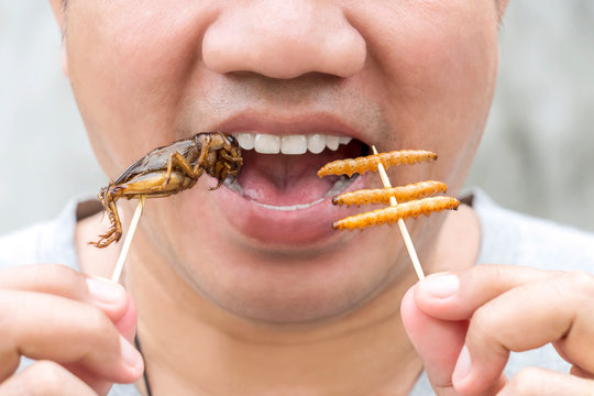 รูปภาพOmphisa – เลือกดูภาพถ่ายสต็อก เวกเตอร์ และวิดีโอ126 | Adobe Stock