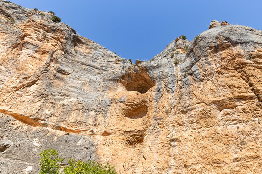 Ravina Images – Browse 43 Stock Photos, Vectors, and Video | Adobe Stock