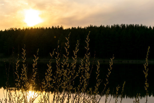"Sun Reflected" Images – Browse 65 Stock Photos, Vectors, and Video ...