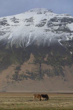 "Rangarping Eystra" Images – Browse 28 Stock Photos, Vectors, and Video ...