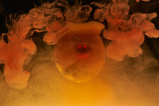 รูปภาพ"In Water" – เลือกดูภาพถ่ายสต็อก เวกเตอร์ และวิดีโอ5,557 | Adobe ...