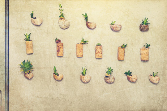 Up-Cycling Images – Browse 125 Stock Photos, Vectors, and Video | Adobe ...