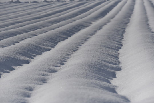 Ackerfurchen Billeder – Gennemse 386 stockfotos, vektorer og videoer ...