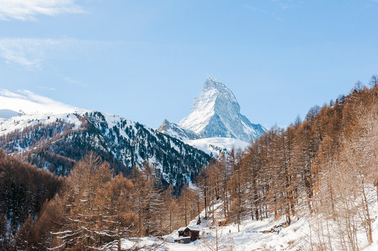 Arvenholz Bilder – Durchsuchen 1,016 Archivfotos, Vektorgrafiken und ...