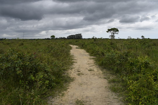 「Plano-Gram」の写真素材 | 39件の無料イラスト画像 | Adobe Stock