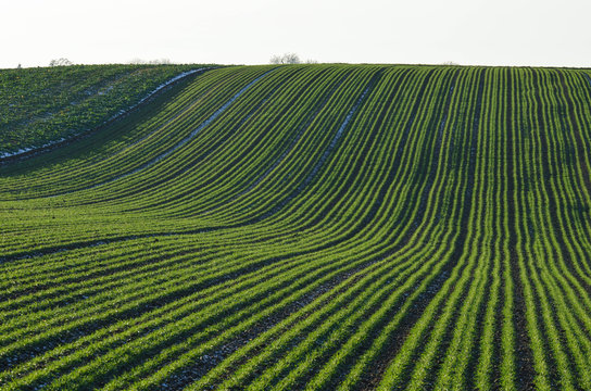 Erdboden bilder – Bläddra bland 45,517 stockfoton, vektorer och videor ...
