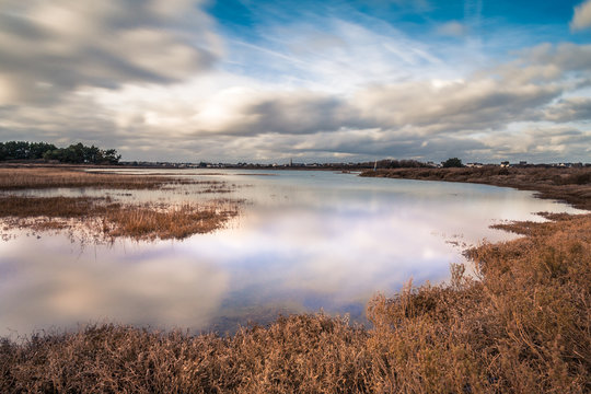 Riantec Images – Browse 61 Stock Photos, Vectors, and Video | Adobe Stock