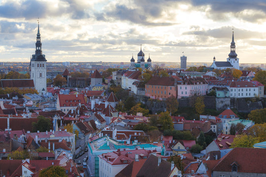 "Pikk Hermann" Images – Browse 180 Stock Photos, Vectors, and Video ...