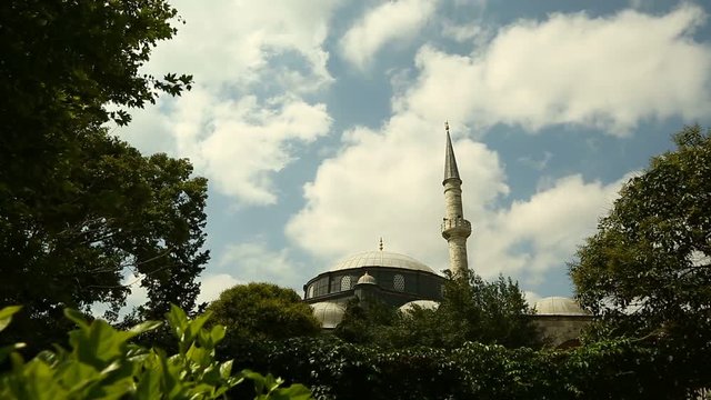 Molla Images – Browse 1,146 Stock Photos, Vectors, and Video | Adobe Stock