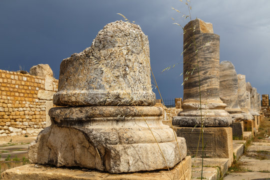 Haidra Images – Browse 34 Stock Photos, Vectors, and Video | Adobe Stock