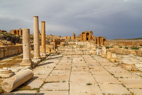 「Haidra」の画像 - 34 件の Stock 写真、ベクターおよびビデオ | Adobe Stock