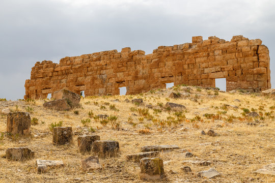 「Haidra」の画像 - 34 件の Stock 写真、ベクターおよびビデオ | Adobe Stock