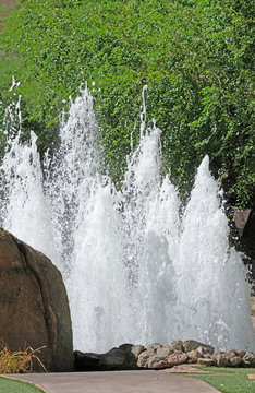 LeiLani photos, images, assets | Adobe Stock