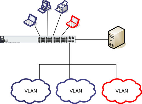 Vlan bilder – Bläddra bland 195 stockfoton, vektorer och videor | Adobe ...