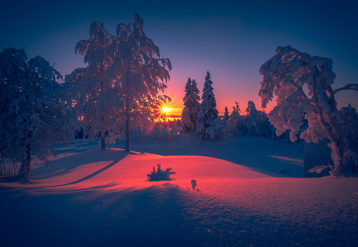 รูปภาพSotkamo – เลือกดูภาพถ่ายสต็อก เวกเตอร์ และวิดีโอ1,858 | Adobe Stock