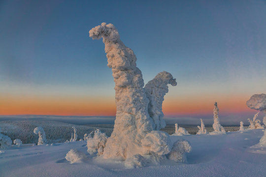 รูปภาพTykky – เลือกดูภาพถ่ายสต็อก เวกเตอร์ และวิดีโอ103 | Adobe Stock