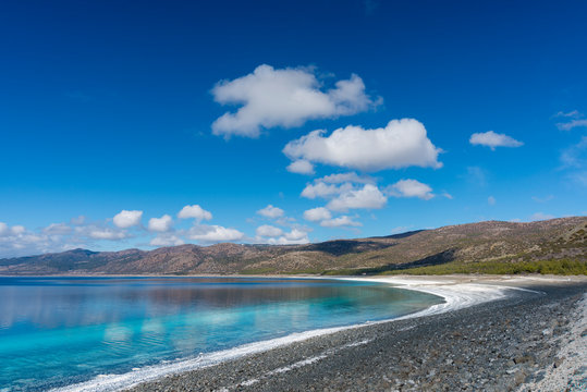 Salda Images – Browse 3,081 Stock Photos, Vectors, and Video | Adobe Stock