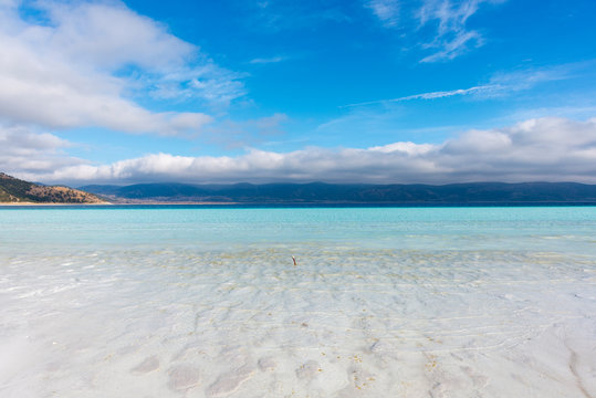 Salda Images – Browse 3,081 Stock Photos, Vectors, and Video | Adobe Stock