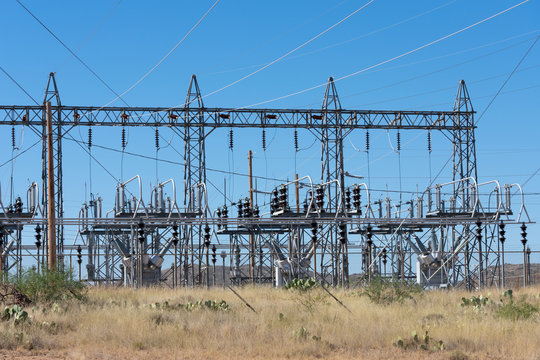 LeiLani photos, images, assets | Adobe Stock