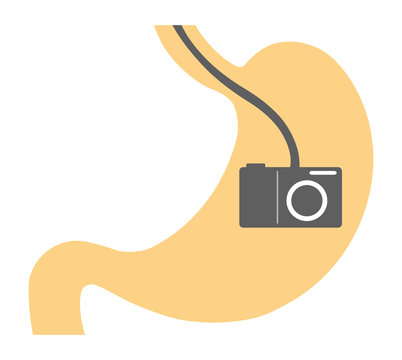 "Stomach Lining" Images – Browse 229 Stock Photos, Vectors, and Video ...