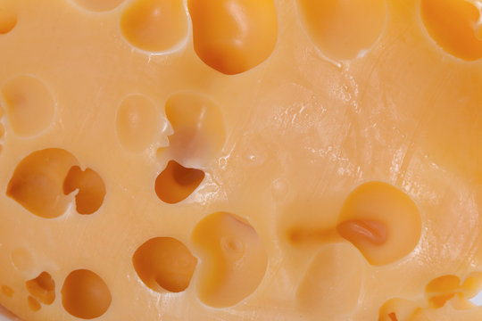 Gauda Bilder – Durchsuchen 2,518 Archivfotos, Vektorgrafiken und Videos ...