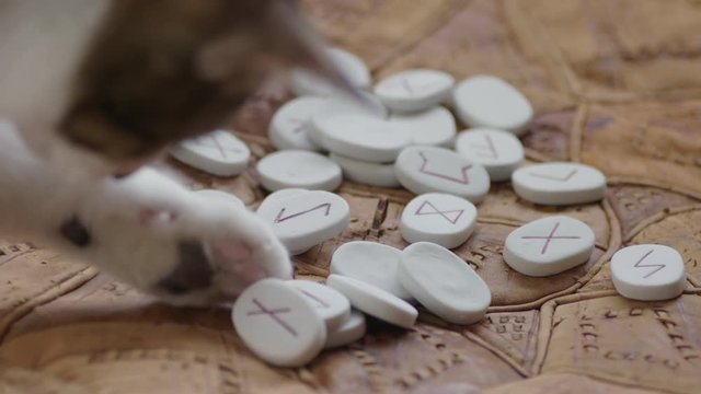 「Rune-Stone」の写真素材 | 54件の無料イラスト画像 | Adobe Stock