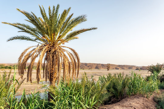 รูปภาพOued – เลือกดูภาพถ่ายสต็อก เวกเตอร์ และวิดีโอ53,622 | Adobe Stock