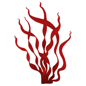 "Red Algae" Images – Browse 35 Stock Photos, Vectors, and Video | Adobe ...