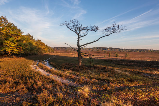 Geestlandschaft Bilder – Durchsuchen 585 Archivfotos, Vektorgrafiken ...