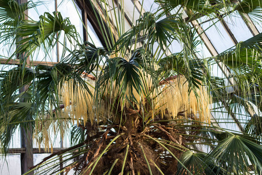 Fomin Images – Browse 42 Stock Photos, Vectors, and Video | Adobe Stock