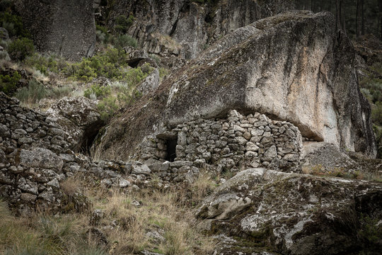 Ravina Images – Browse 43 Stock Photos, Vectors, and Video | Adobe Stock