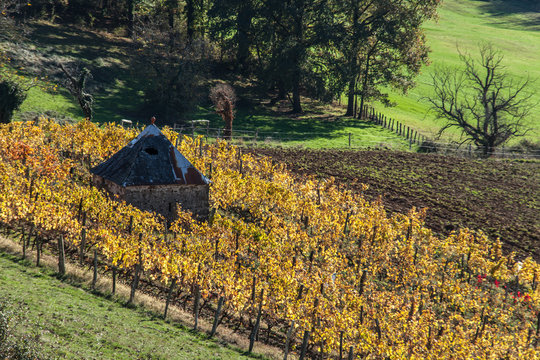 「Gauch」の画像 - 115 件の Stock 写真、ベクターおよびビデオ | Adobe Stock
