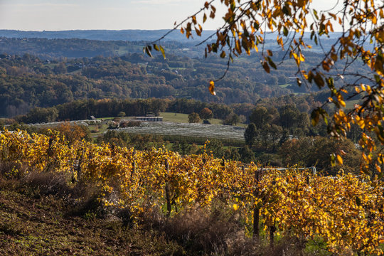 รูปภาพGauch – เลือกดูภาพถ่ายสต็อก เวกเตอร์ และวิดีโอ136 | Adobe Stock