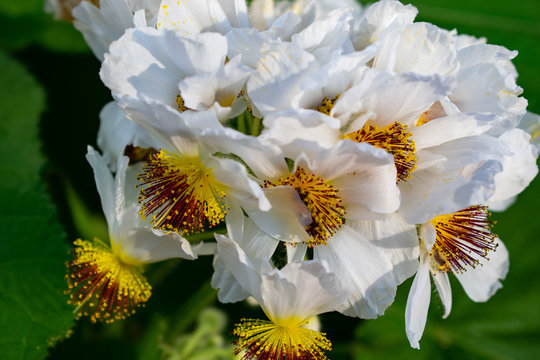 รูปภาพStemen – เลือกดูภาพถ่ายสต็อก เวกเตอร์ และวิดีโอ106 | Adobe Stock