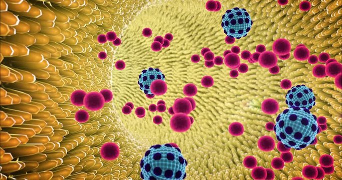 "Fat Cell" Imagens – Procure 3,249 fotos, vetores e vídeos | Adobe Stock