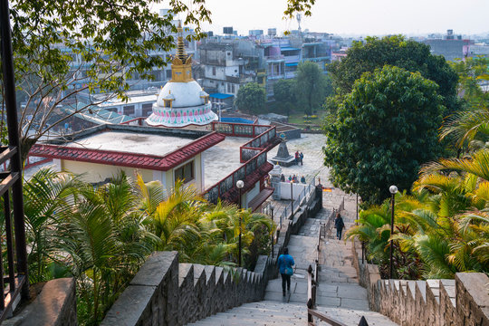 Basini bilder – Bläddra bland 13 stockfoton, vektorer och videor ...