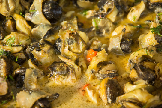 Rapane Images – Browse 29 Stock Photos, Vectors, and Video | Adobe Stock