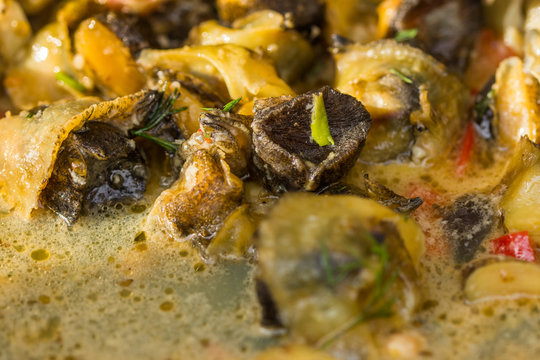 Rapane Images – Browse 29 Stock Photos, Vectors, and Video | Adobe Stock