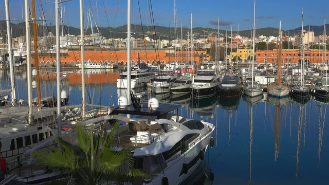 Moll - Images et vidéos libres de droits | Adobe Stock