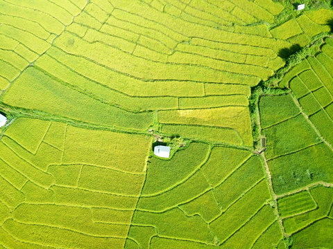 "Rice Field Drone" Images – Browse 28 Stock Photos, Vectors, and Video ...