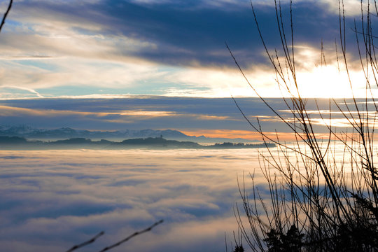 รูปภาพGurten – เลือกดูภาพถ่ายสต็อก เวกเตอร์ และวิดีโอ376 | Adobe Stock