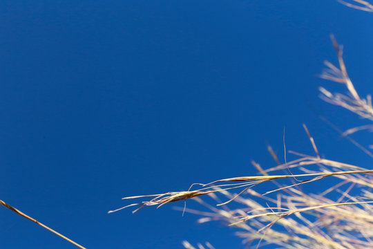 รูปภาพMatojo – เลือกดูภาพถ่ายสต็อก เวกเตอร์ และวิดีโอ159 | Adobe Stock