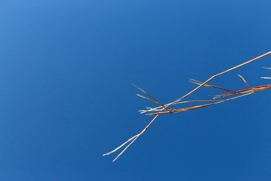 รูปภาพMatojo – เลือกดูภาพถ่ายสต็อก เวกเตอร์ และวิดีโอ163 | Adobe Stock