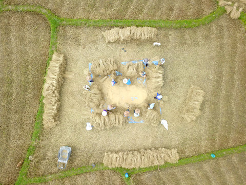 "Rice Field Drone" Images – Browse 17 Stock Photos, Vectors, and Video ...